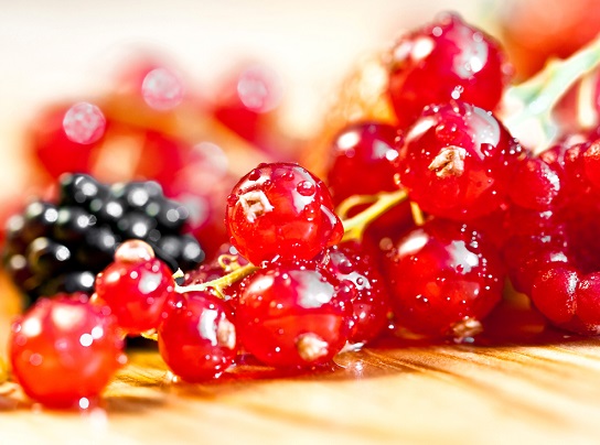6가지 베리류 중 항균 효과 1위는 ‘크랜베리’